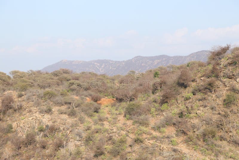 View of Mountain Valley with Dry Forest Tree. Stock Image - Image of ...