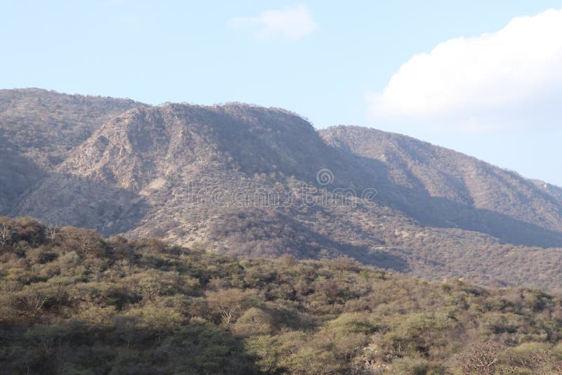 View of Mountain Valley with Dry Forest Tree. Stock Photo - Image of ...
