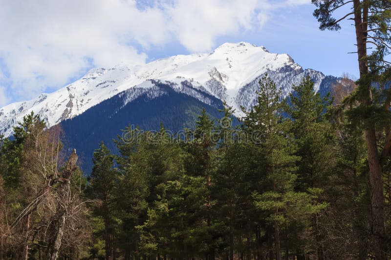 View of the Mountains of Arkhyz Reserve Stock Image - Image of reserve ...