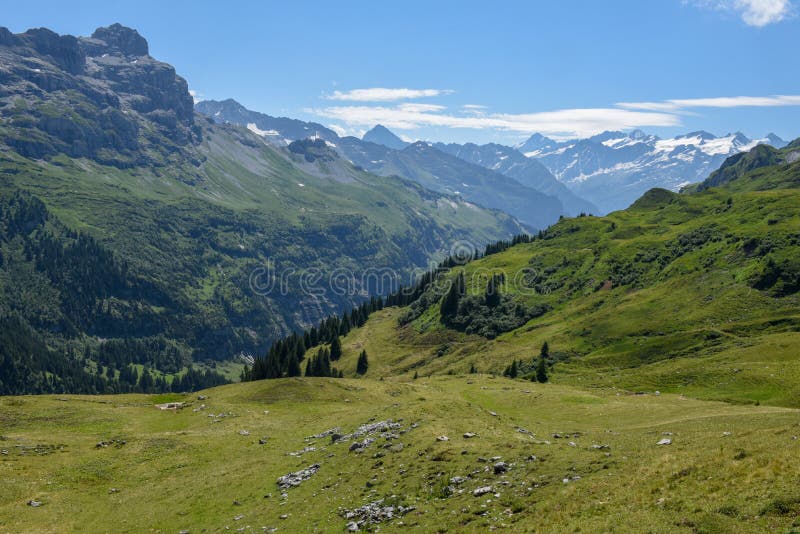 View at the Mountains of Bern in the Swiss Alps Stock Image - Image of ...