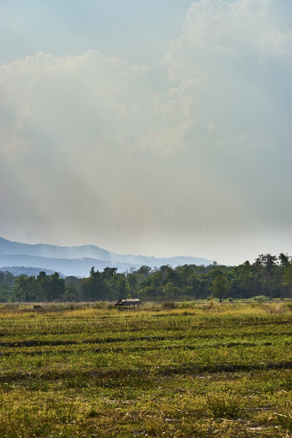 View of Mountains Jungle and Field. Stock Photo - Image of green ...