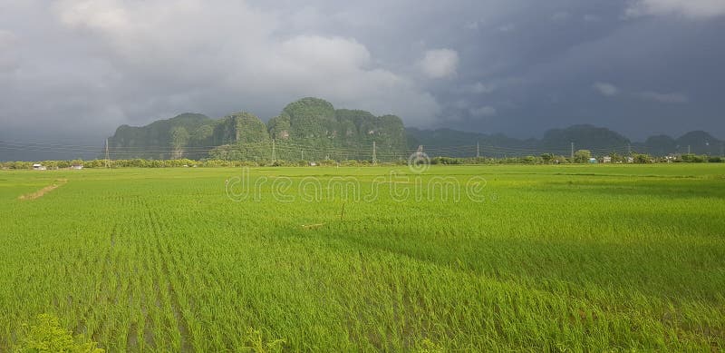 View of Mountains and Rice Fields in the Maros Pangkep Axis Area Stock ...