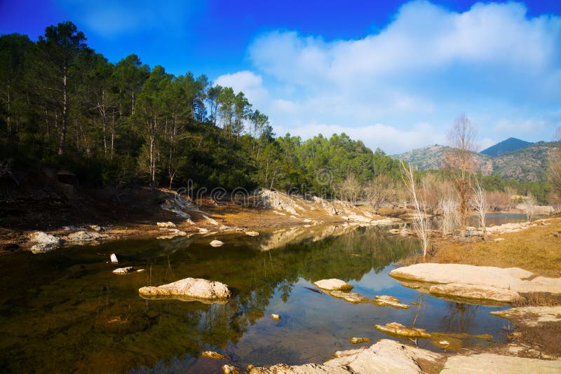 Forest Riverside Walking Trail Stock Image - Image of flowing, ferns ...