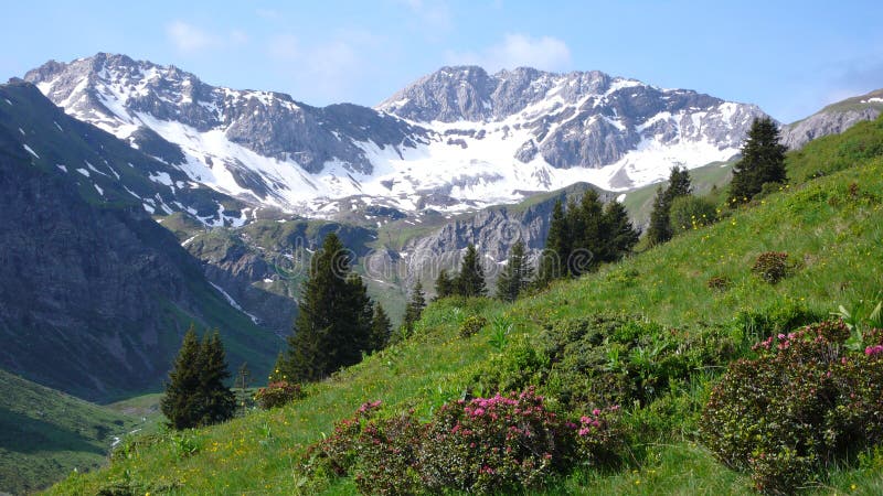 Spring in the Swiss Alps stock photo. Image of switzerland - 67187544