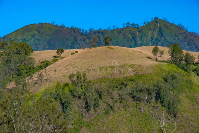View of Mountains with Trees on a Sunny Day Stock Image - Image of hill ...