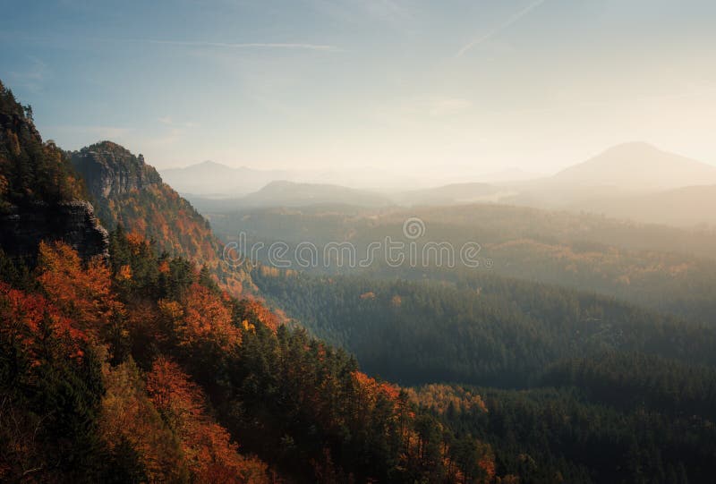 A View of the Mountainside. Trees in Autumn Stock Photo - Image of ...