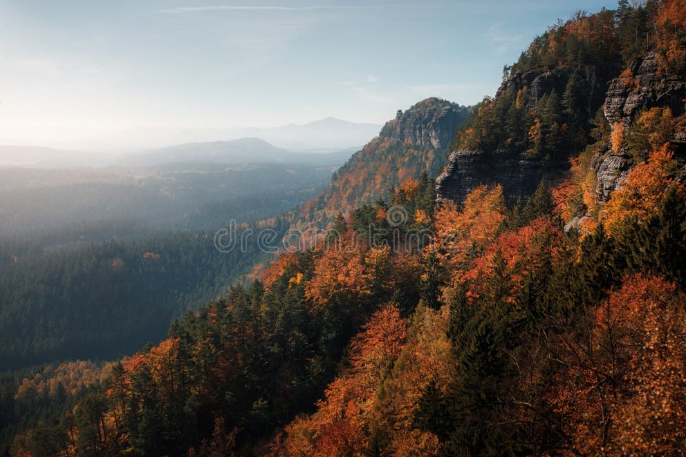 A View of the Mountainside. Trees in Autumn Stock Photo - Image of ...