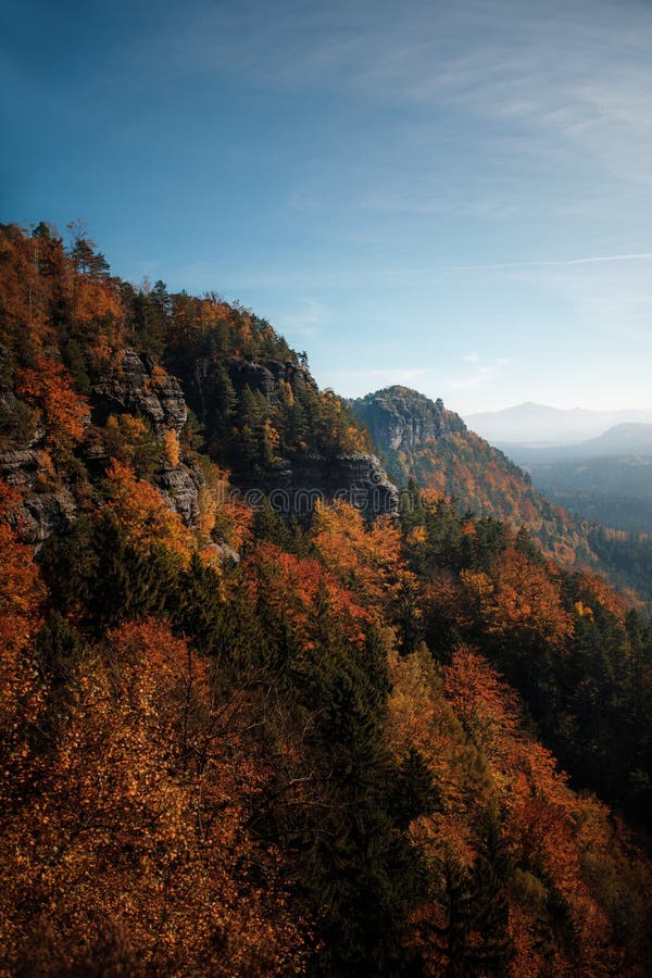 A View of the Mountainside. Trees in Autumn Stock Image - Image of ...