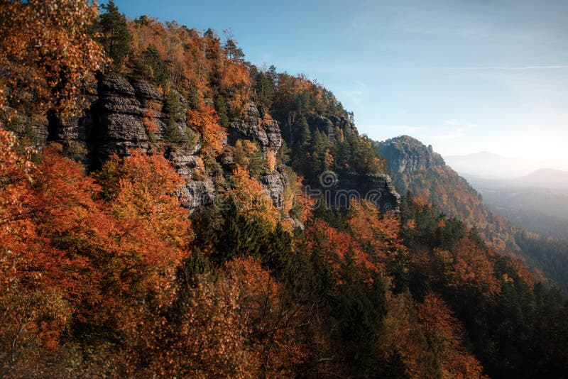 A View of the Mountainside. Trees in Autumn Stock Image - Image of ...