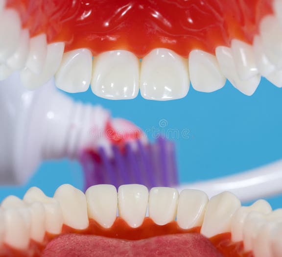A View through Mouth on a Toothpaste with Toothbrush Stock Image ...