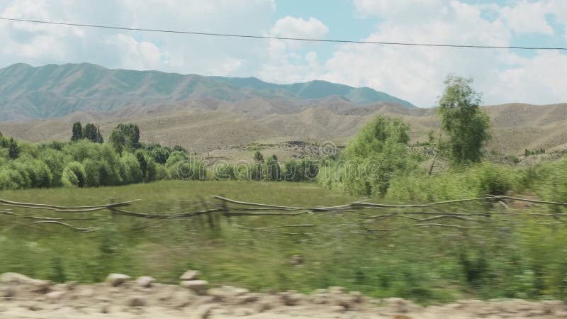View from the Moving Car on an Apricot Plantation with Mountains and ...