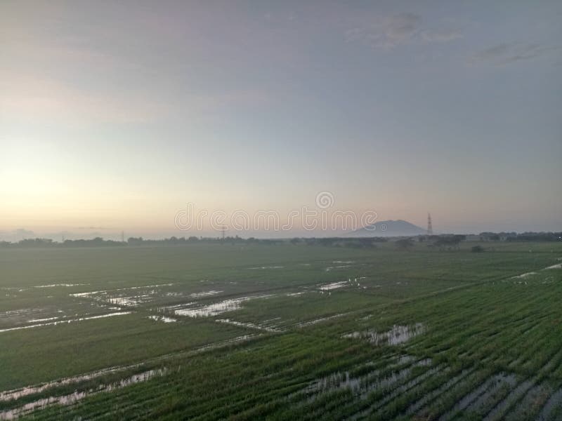 Arayat View Stock Photos - Free & Royalty-Free Stock Photos from Dreamstime