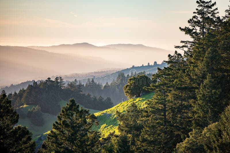 View from Mt. Tamalpais at Sunset Stock Image - Image of marin, mill ...