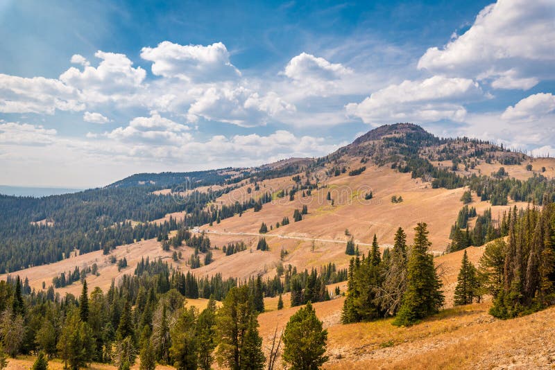 View from Mt. Washburn in Yellowstone National Park Stock Image - Image ...