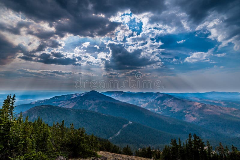 View from Mt. Washburn in Yellowstone National Park Stock Photo - Image ...