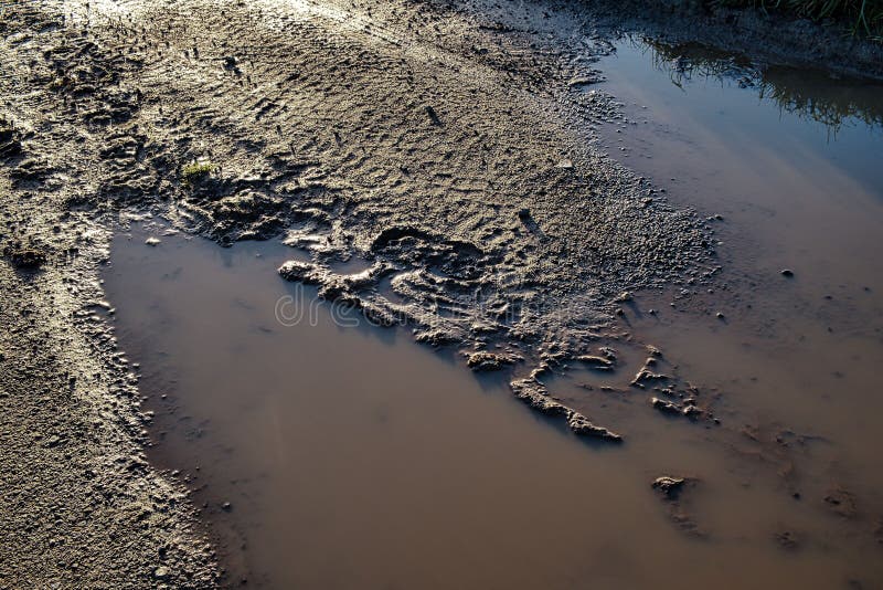 View of Mud and a Small Puddle Stock Photo - Image of nature, backdrop ...