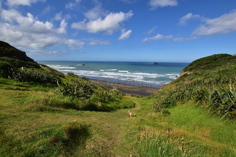 View at the Muriwai Gannet Colony Beach Stock Photo - Image of muriwai ...