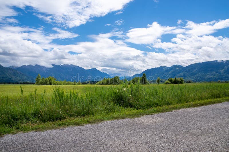 View into the Murnauer Moos at the Staffelsee with Footpath and Bench ...