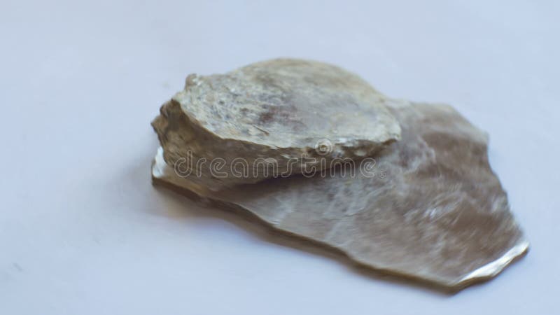 Muscovite Mica Specimen, Phyllosilicate Mineral. Stock Footage - Video ...