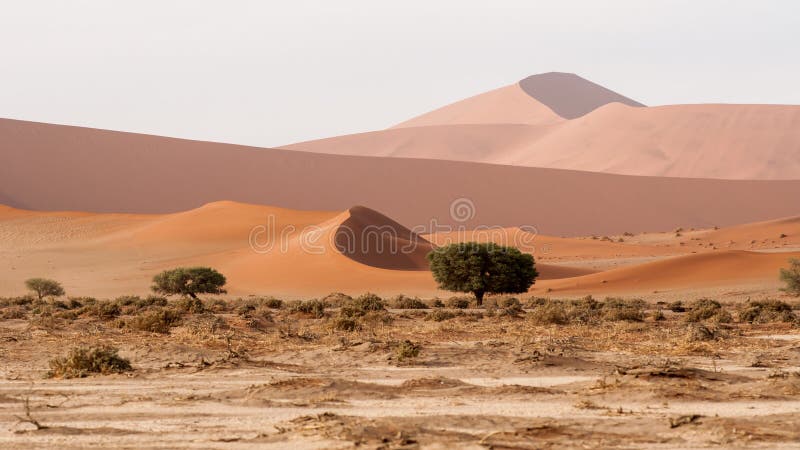 View of the Namib dunes stock photo. Image of outdoor - 135304564