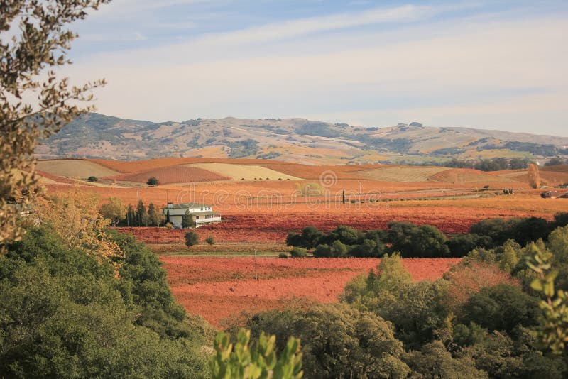 Fall Napa stock image. Image of dirt, tasting, terroir - 188251849