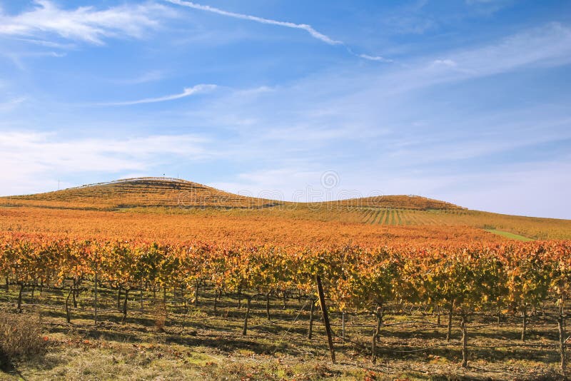 Fall Napa stock image. Image of room, grass, leaves - 188251885