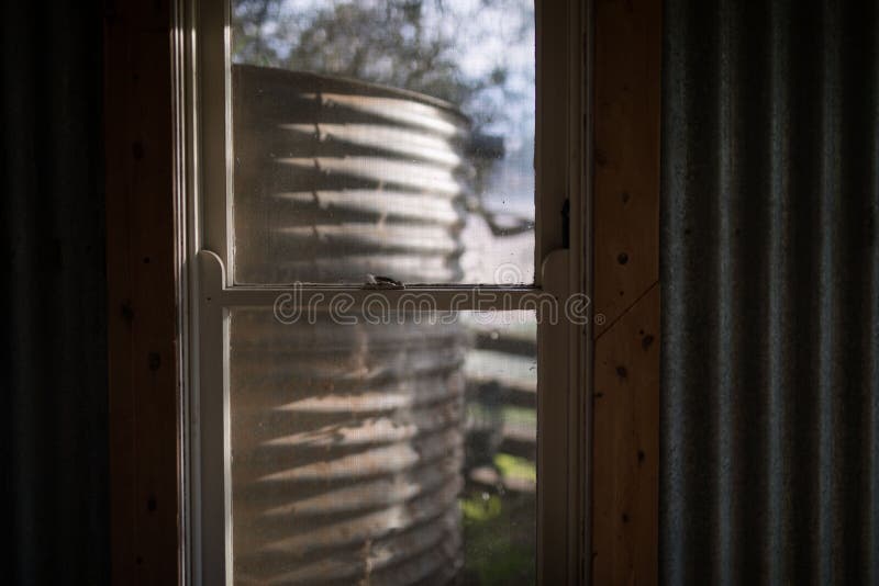 View from a Narrow Window with a Big Container in the Yard on a Sunny ...