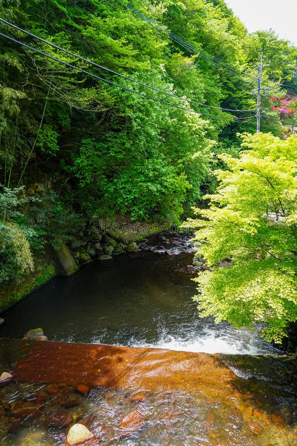 View of Natural Fresh Flowing Spring Stream with Stone Bank through ...