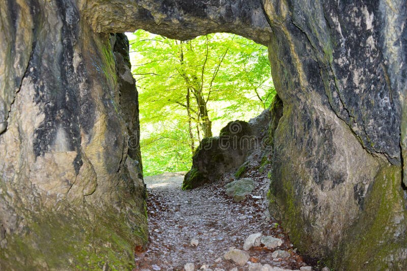 View through a Natural Rock Tunnel into the Forest Stock Photo - Image ...