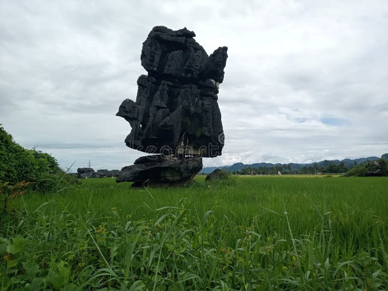 View of a Natural Stone in a Rice Field Stock Photo - Image of natural ...