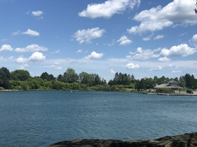 View stock photo. Image of birds, nature, view, lake - 195756850