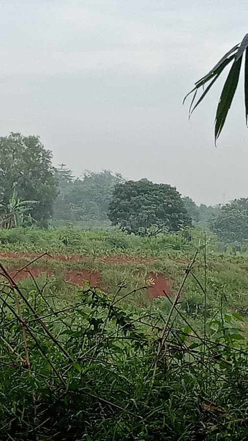 View of Nature My Village in Front of Me Stock Image - Image of view ...