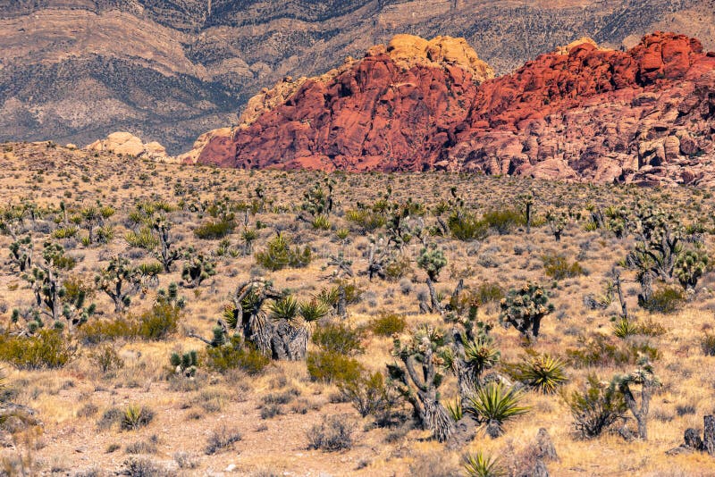 View of Nature in Red Rock Canyon in Nevada, USA Stock Photo - Image of ...