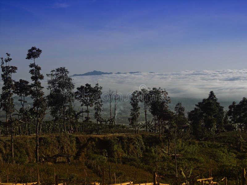 View on the Nature at Temanggung Central Java Indonesia Stock Image ...