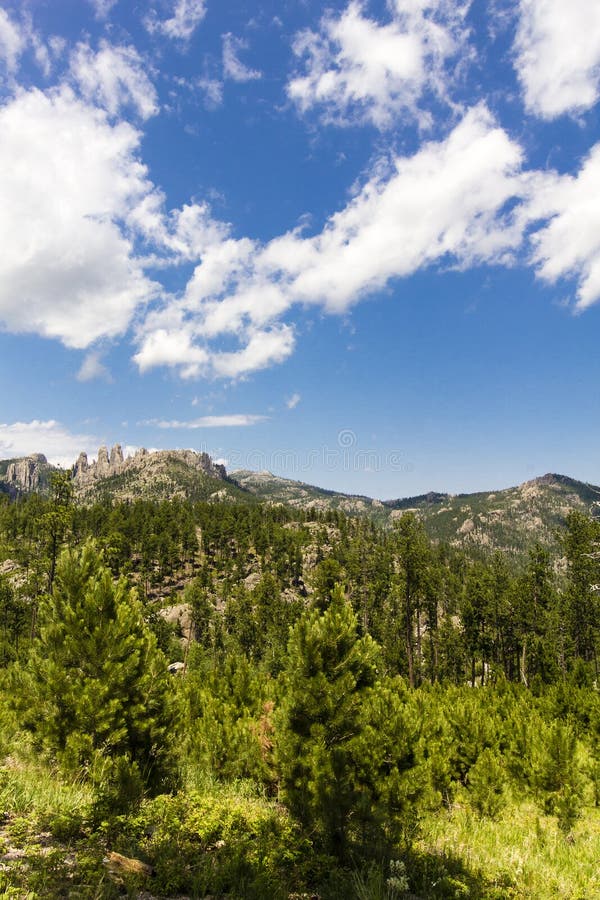 Needles Highway in Summer, South Dakota Stock Image - Image of byway ...