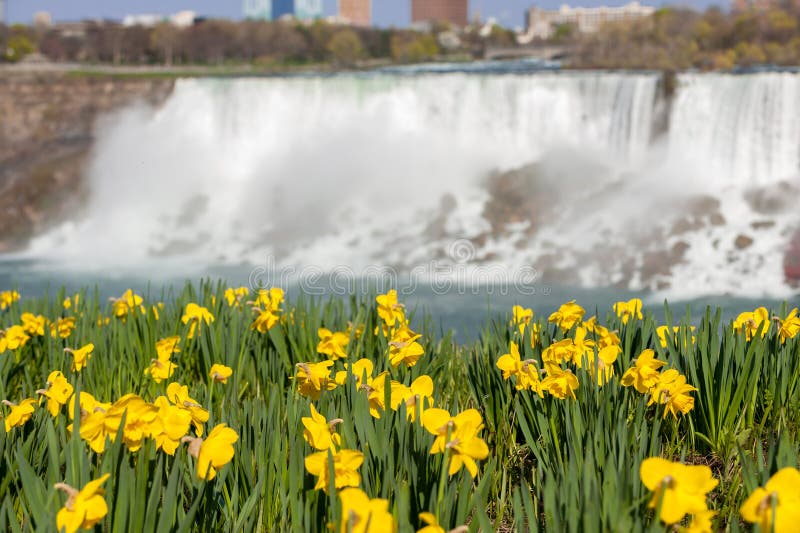 View Niagara Falls from the Canadian Side Stock Image - Image of ...