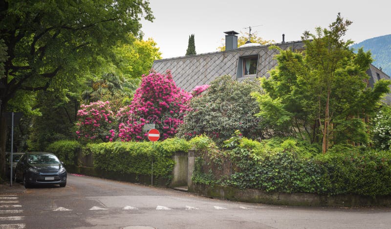 View of Nice Modern House in Summer Environment Stock Photo - Image of ...