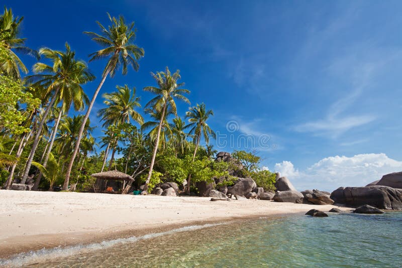 View of Nice Tropical Empty Sand Beach Stock Photo - Image of leaf ...