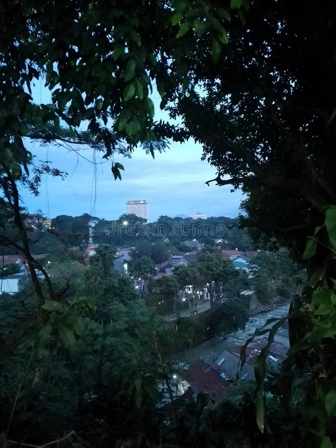 View of the Night Sky and Houses and Trees in the Distance Stock Image ...
