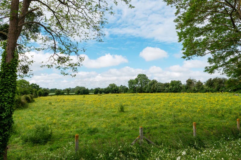 View of Normandy Countryside, Bayeux, Calvados Stock Image - Image of ...