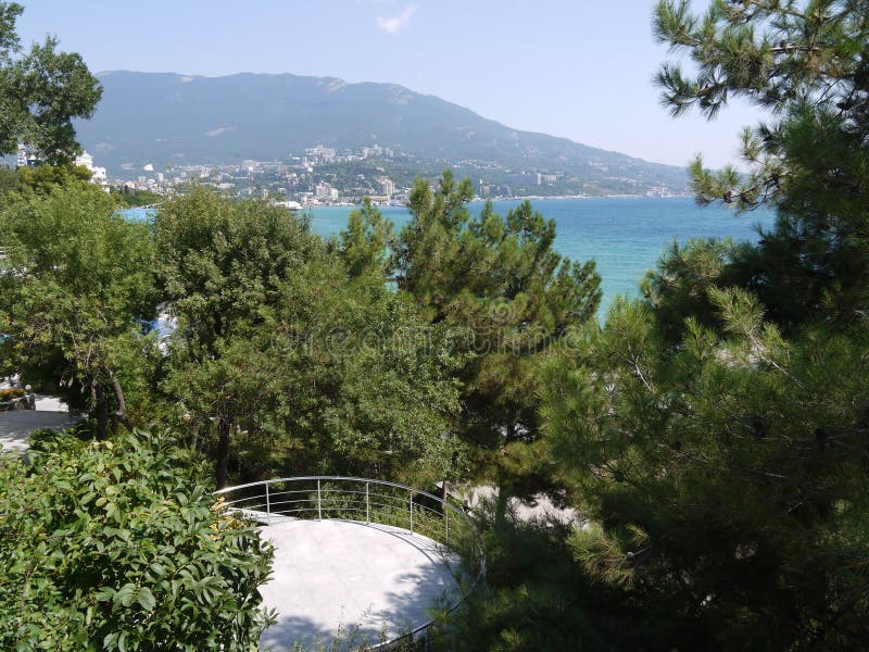 View of the Observation Deck between the Trees and the Resort Coast ...