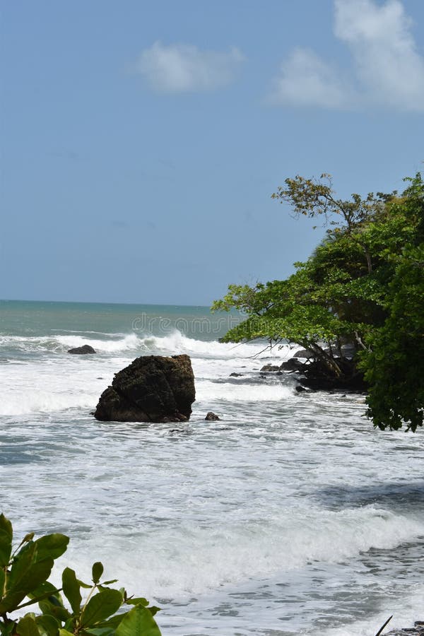 Coastline Along Toco, Trinidad and Tobago Stock Photo - Image of tobago ...