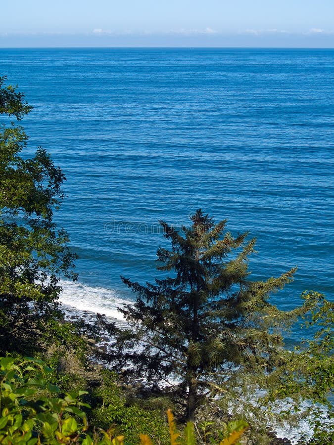 View of the Ocean from a Cliff Stock Photo - Image of shoreline ...
