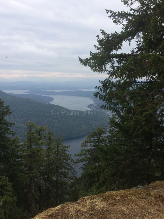 View of ocean and forest stock photo. Image of cliff - 130244654
