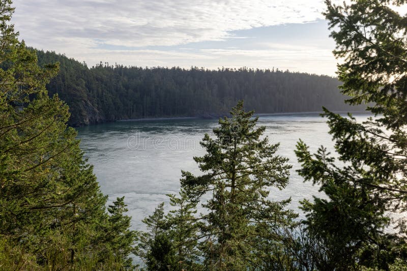 View of Ocean Inlet through Trees on Cliff Stock Image - Image of misty, woodland: 243642889