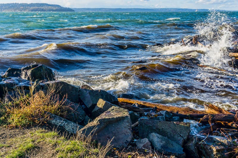 Windy Ocean Landscape 4 stock image. Image of park, nature - 262272829
