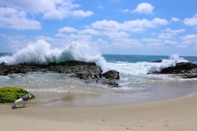 Ocean Waves Rolling into the Beach Over the Rocks at 1000 Steps Beach ...
