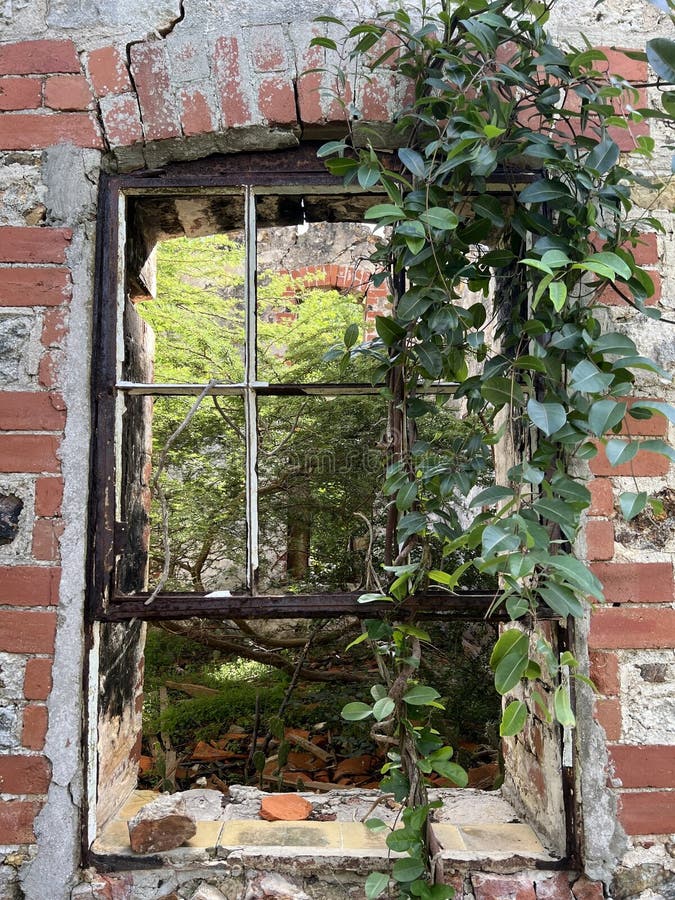 View through an Old Abandoned Window of a Brick Building with Vines ...