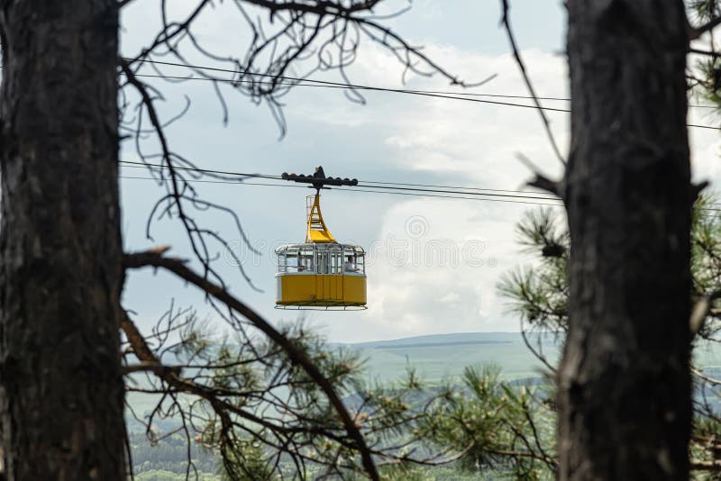 View of the Old Cable Car Wagon through the Powerful Tree Trunks Stock ...