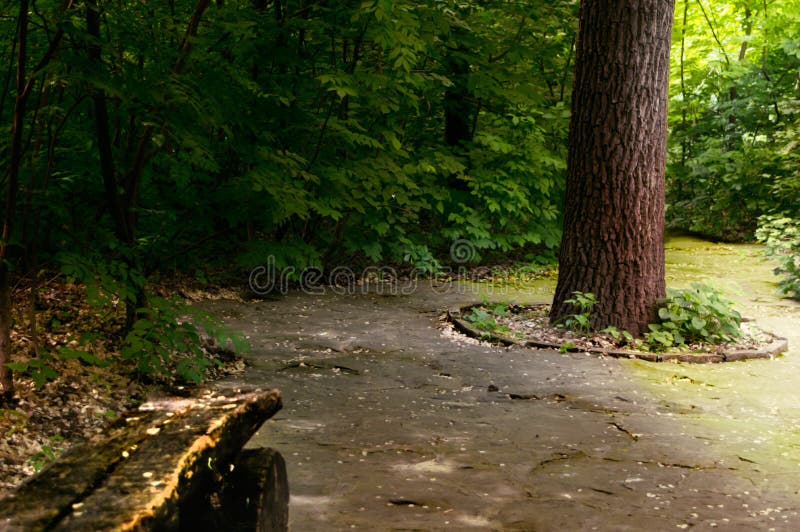 View of the Old Park with a Path Stock Photo - Image of decor, green ...